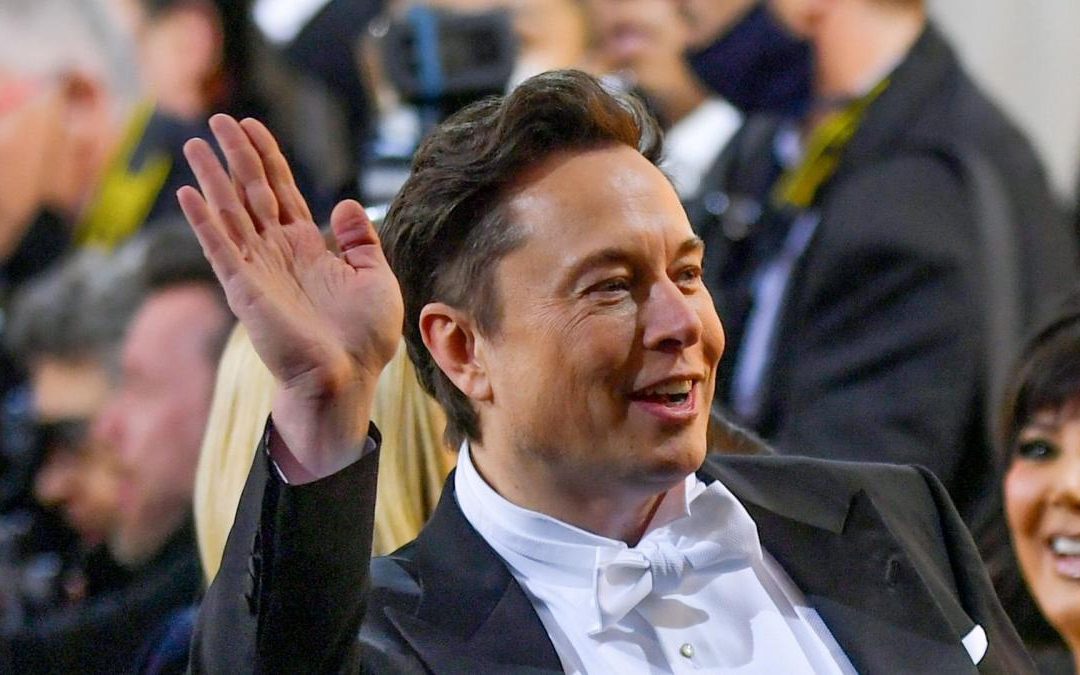 The Cult of Elon: Examining His Dedicated Fanbase