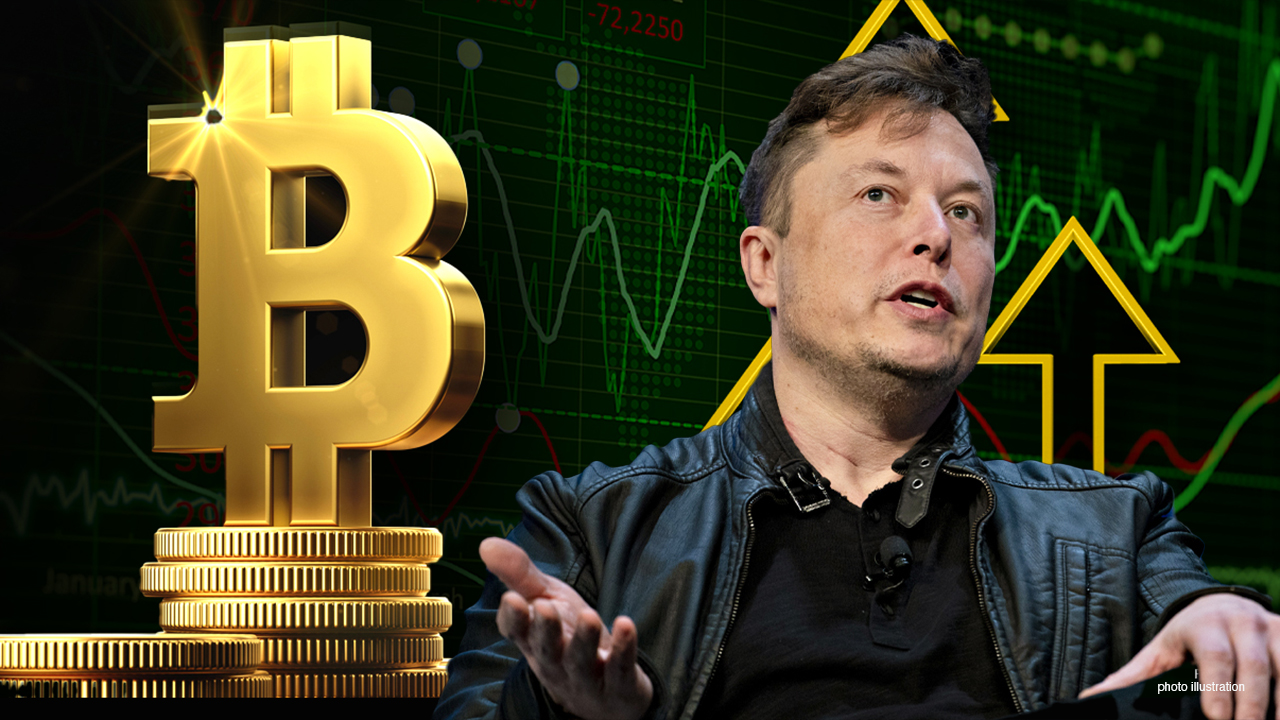Elon Musk's Influence on the Cryptocurrency World: A Deep Dive