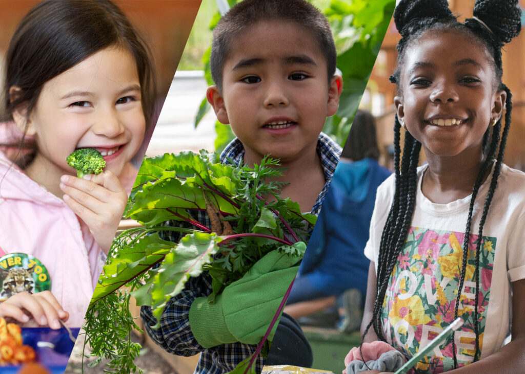 Storytelling in Marketing: How Culinary Products Can Tell Their Story