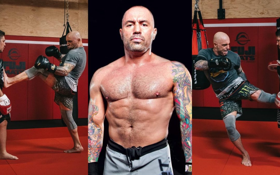 Joe Rogan’s Martial Arts Background: From Taekwondo to Jiu-Jitsu